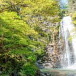 Minoo Park: Guided Nature Walk - Visiting Ryuan-ji and Its Storied Past