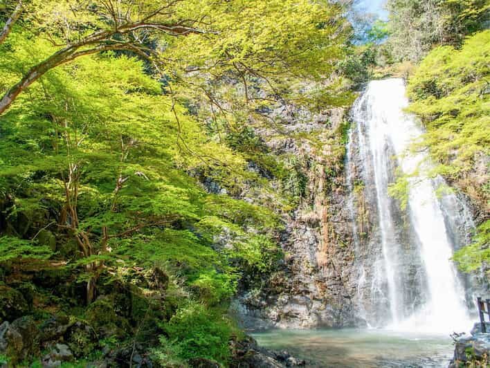Minoo Park: Guided Nature Walk - Visiting Ryuan-ji and Its Storied Past