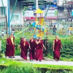 Mirik Lake Day Tour From Darjeeling - The Sum Up