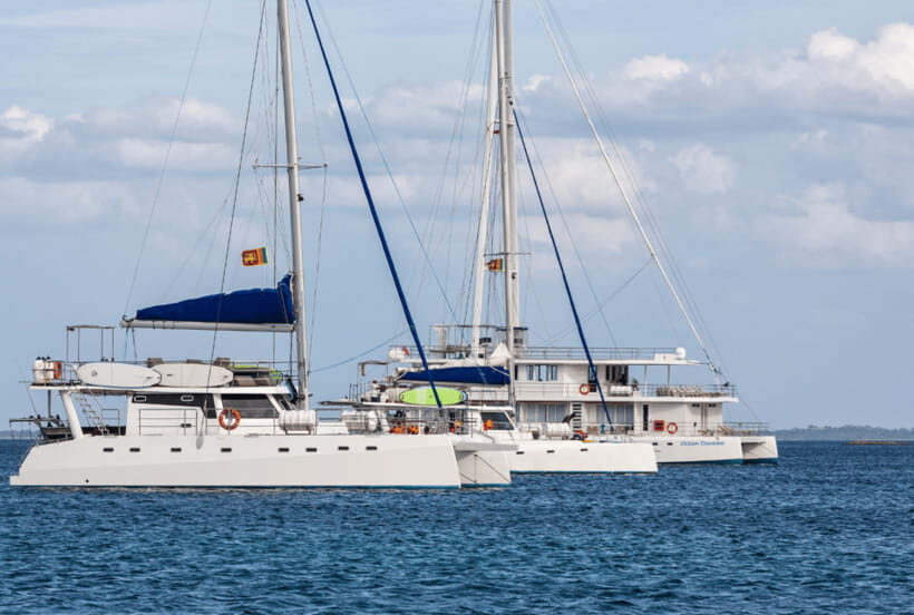 Mirissa: Luxury Sailing Boat Dolphin and Whale Watching - The Itinerary in Detail