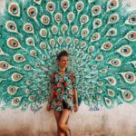 Mirissa/Weligama to Colombo Airport Private Taxi Transfer - Insights from Travelers’ Reviews