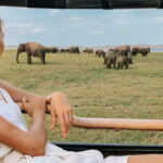 Mirissa/Weligma/Galle/Hikkduwa: Transfer to Ella & Yala Tour - Pricing and Value