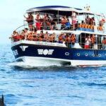 Mirissa: Whale Watching Tour - Diving into the Details