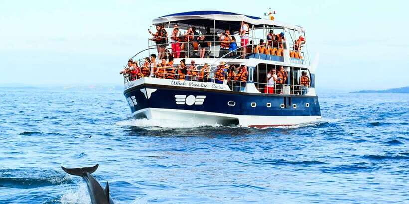 Mirissa: Whale Watching Tour - Diving into the Details