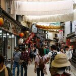 Miyajima Music Voyage:Solo Opera/Japanese Music & Dance/Walk Tour - Who Is This Tour Best For?