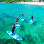 Miyako island: SUP or Canoe at Stunning Blue Beach - Authentic Feedback from Travelers