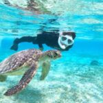 Miyako Island: SUP or Canoeing and Snorkeling Experience - Final Verdict: Why Choose This Tour?