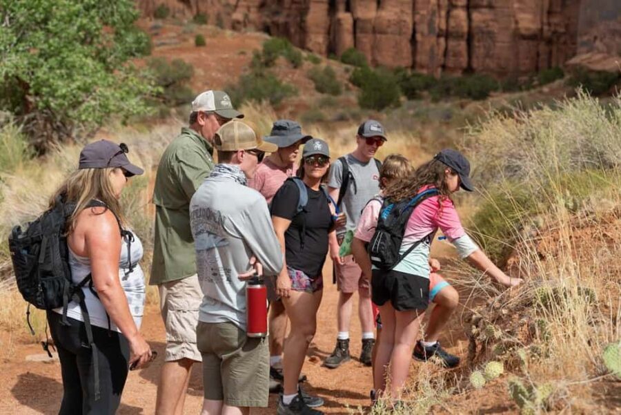 Moab Half Day Jeep Tour - Value and Pricing: Does It Make Sense?