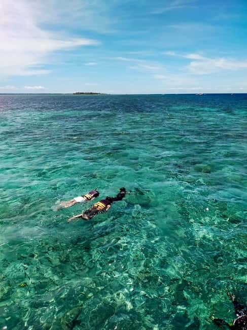 Moalboal: Private Beginner's Canyoning and Sardines & Turtle - Who Should Consider This Tour?