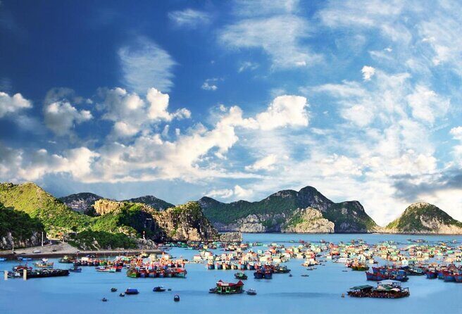 Mon Chéri Cruises 5 star: Amazing 3 days exploring Halong & Cat Ba island - Day 2: Active Adventures on Cat Ba Island
