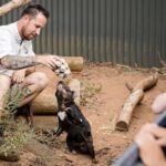 Monarto Safari Park: A Devilish Native Experience - Key Points to Note