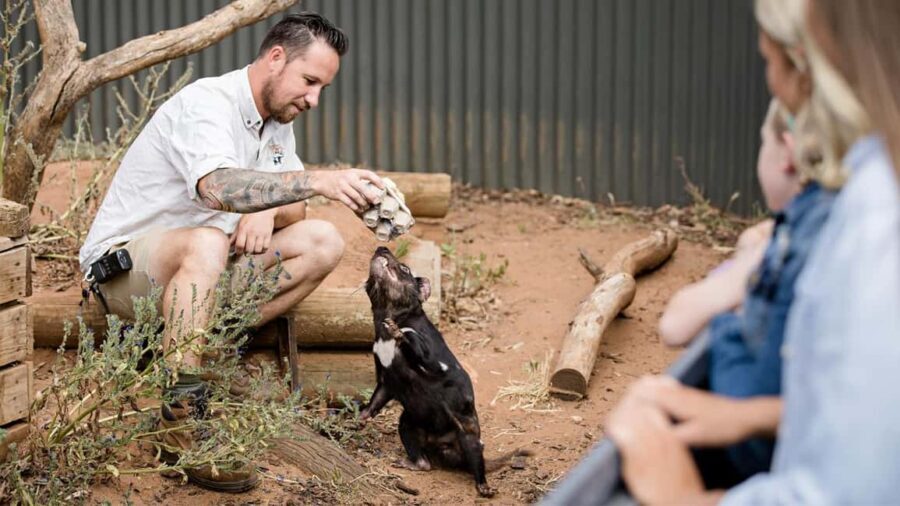 Monarto Safari Park: A Devilish Native Experience - Key Points to Note