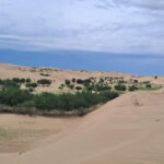 Mongolia: Mini Gobi, Orkhon, and Kharkhorin 4 Day Tour - Day 2: Elsen Tasarkhai and the Mini Gobi Dunes