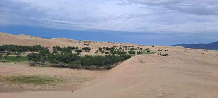 Mongolia: Mini Gobi, Orkhon, and Kharkhorin 4 Day Tour - Day 2: Elsen Tasarkhai and the Mini Gobi Dunes