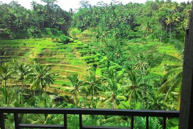 Monkey Forest, Ubud, Waterfall and Rice Terrace - Who Will Love This Tour?