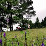 Monkey Mountain Tour (half day) - Who Will Love This Tour?