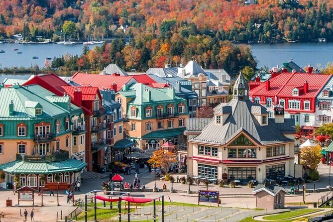 Mont-Tremblant 1-Day Tour - What the Reviews Say: Authentic Perspectives