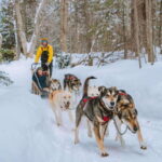 Mont-Tremblant: Dogsledding Upper Laurentians - Who Is It Best Suited For?