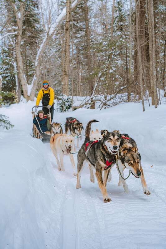 Mont-Tremblant: Dogsledding Upper Laurentians - Who Is It Best Suited For?