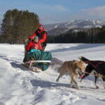 Mont-Tremblant: Guided Dogsledding Tour with Hot Chocolate - Authenticity and Family Fun