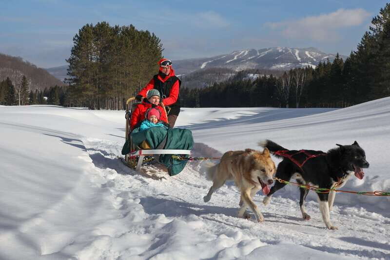 Mont-Tremblant: Guided Dogsledding Tour with Hot Chocolate - Authenticity and Family Fun
