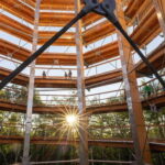 Mont-Tremblant: Treetop Observatory and Self-Guided Walk - Real Experiences and Honest Feedback