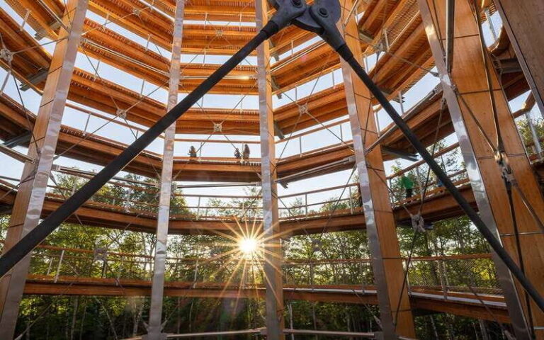 Mont-Tremblant: Treetop Observatory and Self-Guided Walk - Real Experiences and Honest Feedback