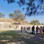 Monte Alban Only - Half Day Guided Tour - Oaxaca - Transportation and Convenience