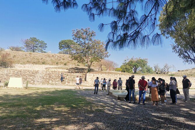 Monte Alban Only - Half Day Guided Tour - Oaxaca - Transportation and Convenience