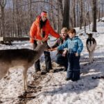 Montebello, QC: Morning VIP Tour at Parc Oméga - Who will love this tour?