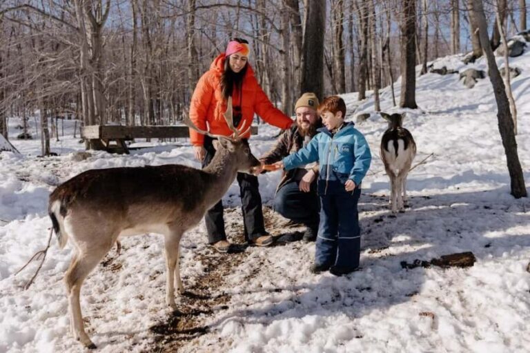 Montebello, QC: Morning VIP Tour at Parc Oméga - Who will love this tour?