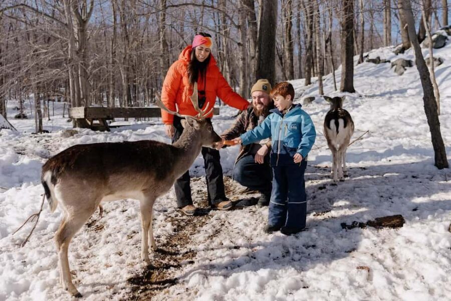 Montebello, QC: Morning VIP Tour at Parc Oméga - Who will love this tour?