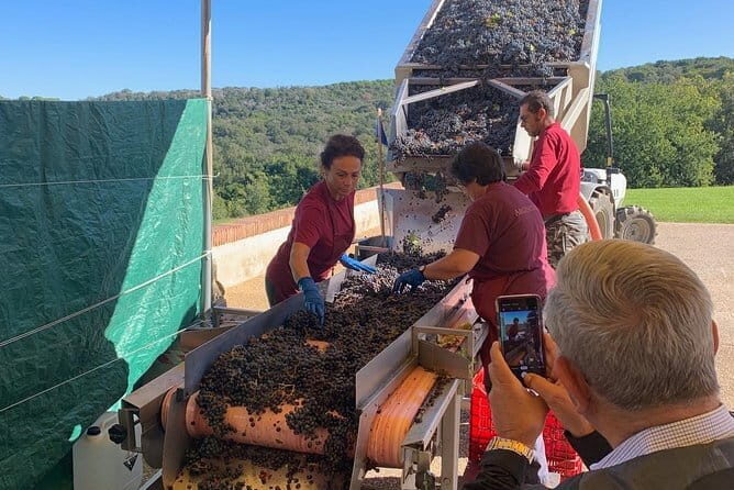 Montepulciano Pienza Montalcino Tour from Florence - Why Choose This Tour?