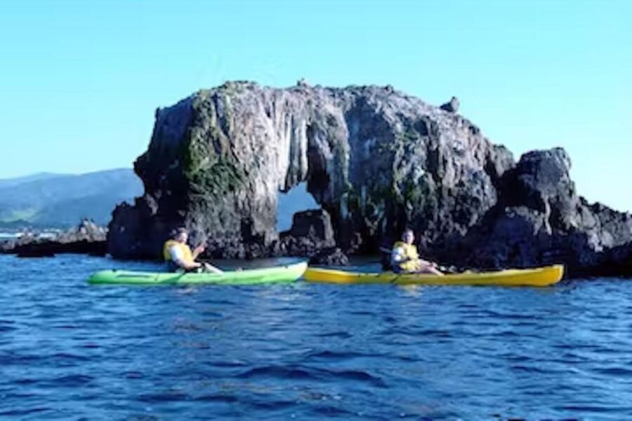 Monterey: Pebble Beach Kayak Tour - A Detailed Look at What the Tour Offers
