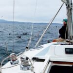 Monterey Private 3 - 4 Hour Whale Watching Cruise - What Travelers Can Expect and What They Might Not