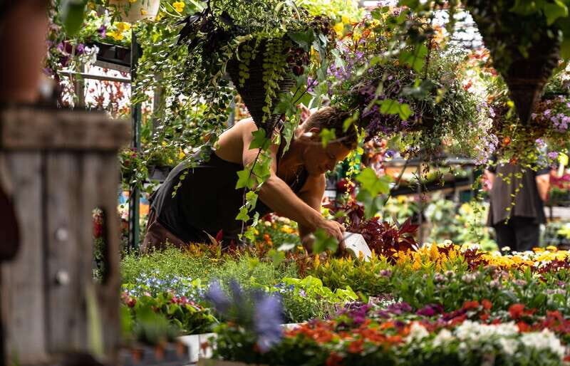 Montreal: Jean-Talon Market & Little Italy Highlights Tour - An In-Depth Look at the Tour Experience