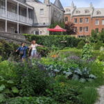 Montreal: Private Customizable Walking Tour of Old Montreal - A Customized Journey Through Historic Montreal