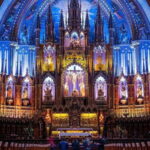 Montreal: Private Highlights & Hidden Gems Tour with a Local - What Do the Reviews Say?