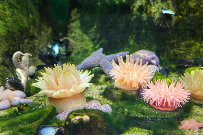 Montreal: Skip-the-line Biodome Private Tour with Tickets - How This Tour Adds Value