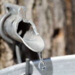 Montreal: Sugar Shack Maple Syrup Day Trip with Lunch - Who Should Consider This Tour?