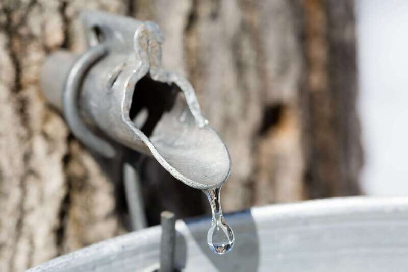 Montreal: Sugar Shack Maple Syrup Day Trip with Lunch - Who Should Consider This Tour?