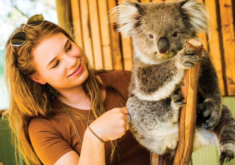 Moonlit Sanctuary Conservation Park Entry Ticket - Deep Dive into the Experience and What You’ll See