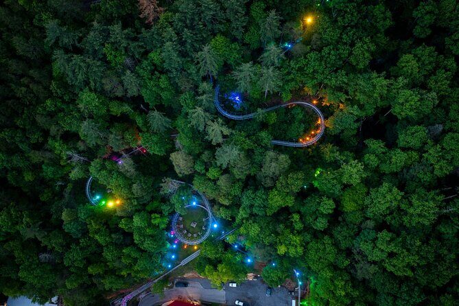 Moonshine Mountain Coaster Ride - The Ride Itinerary: What to Expect