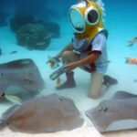 Moorea: Aquablue Helmet Underwater Walking Experience - Duration, Cost, and Value