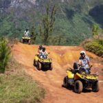 Moorea Explorer Atv Quad Tour - What to Expect During the Ride