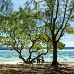 Moorea Highlights Private Tour: Natural and Cultural Attraction - The Itinerary in Detail