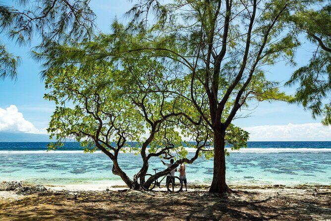 Moorea Highlights Private Tour: Natural and Cultural Attraction - The Itinerary in Detail