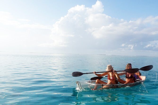 Moorea Lagoon Tour by Transparent Kayak - Who This Tour Is Perfect For