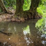 Moorea photographic excursion in private and adapted session - The Value of a Private, Adapted Experience