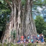 Moorea : Safari Nature and Culture Tour with local guide - The Sum Up: Why This Tour Matters